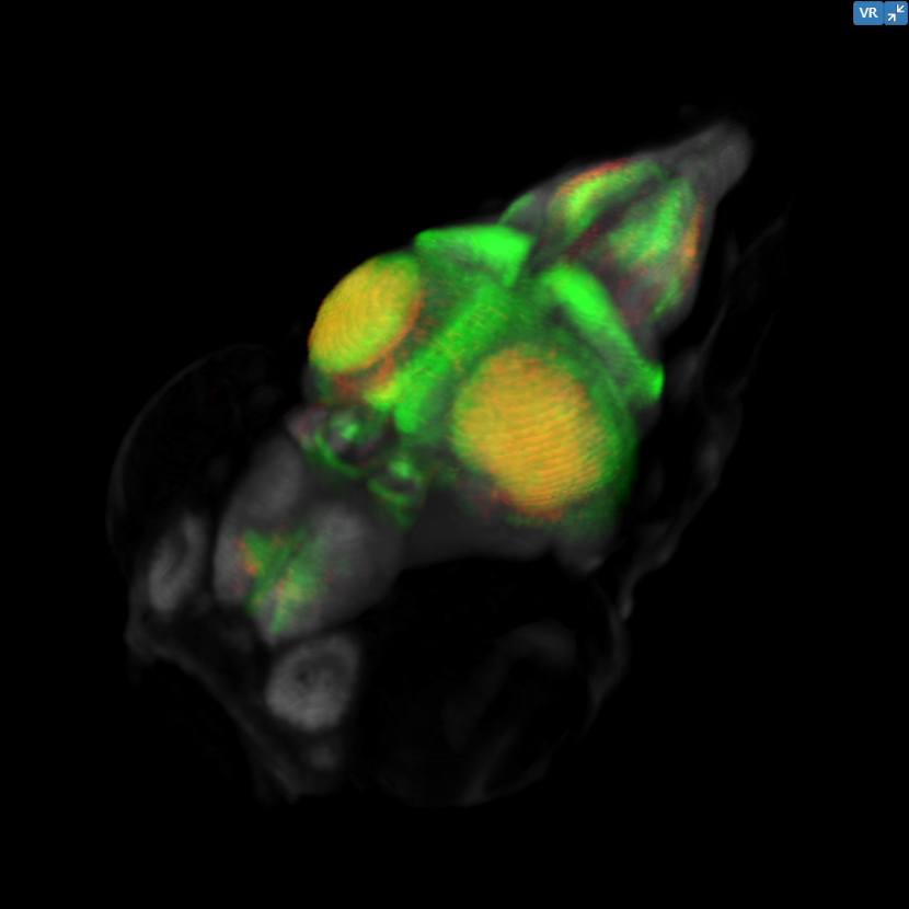 OpenGL – Creative Computing Studio 2018 Fall